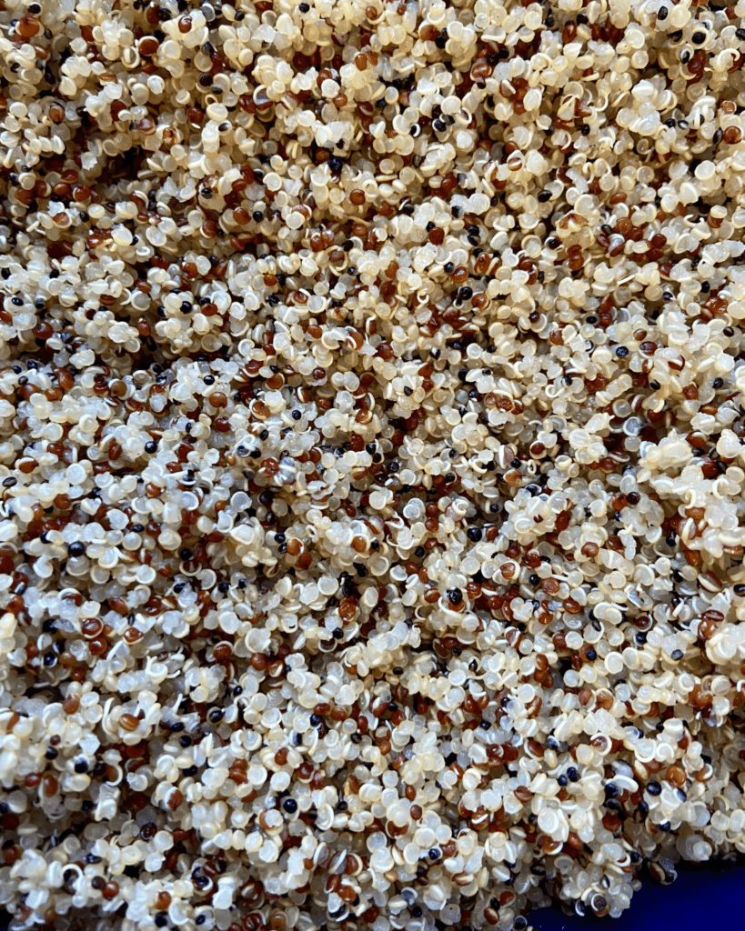 TOFU ALMOND QUINOA SALAD - Olive You So Matcha