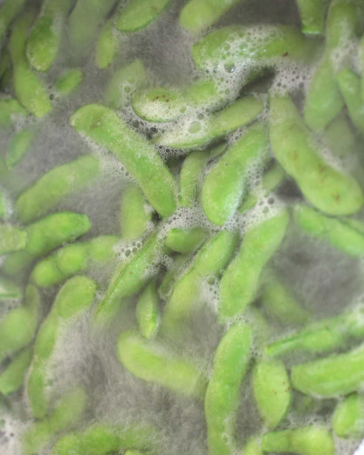 can you freeze edamame beans : how to freeze edamame - Olive You So Matcha